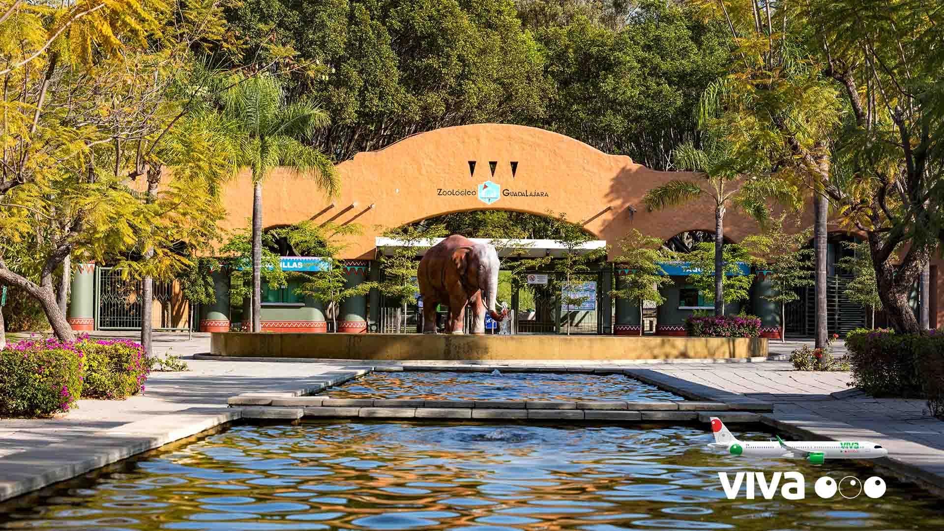 ¡Zoológico Guadalajara celebra 37 años con entrada a solo 37 pesos ...